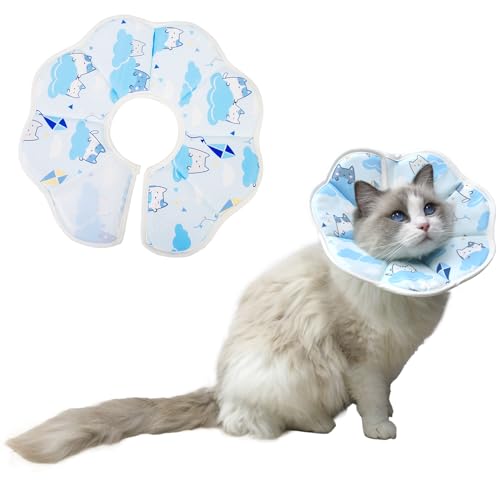 Cat Cones – The 15 best products compared - Wild Explained