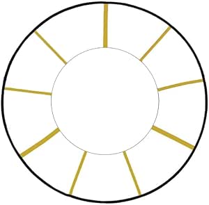 Scala rotonda Agility Scaletta di addestramento Velocità Attrezzature ...