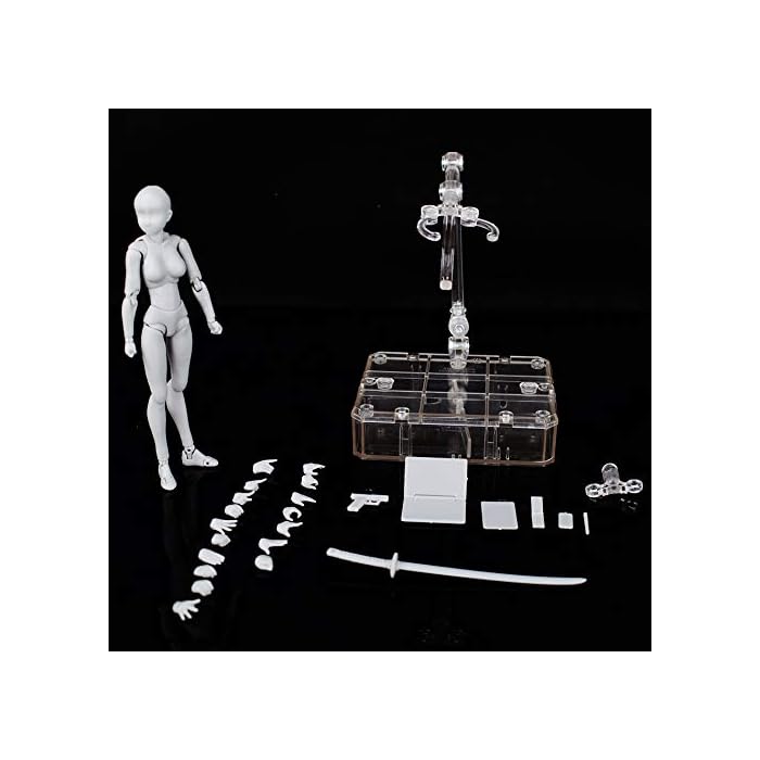 Buy Body-Chan Figure Body Kun Doll PVC Body-Chan DX Action Play Art ...