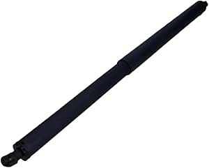QFJFBGGH Shock Strut 1pcs 1569800764 Right Side Non-electric Tailgate ...