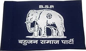 BSP Flag for Car Pack of 5 : Amazon.in: Garden & Outdoors