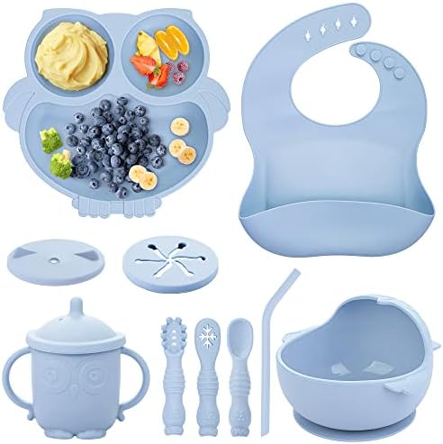 Amazon.com: Bnditeu Baby Weaning Set, Silicone Baby Feeding Set(10 Pcs ...