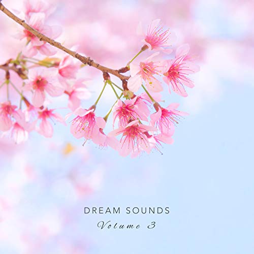 Play Dream Sounds, Vol. 3 by Dream Sounds on Amazon Music
