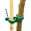 Amazon.com : 8 PCS Tree Stake Support Bands, Tree Straps for Staking ...