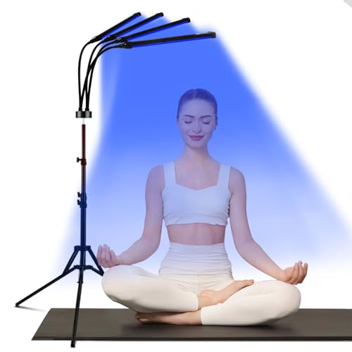 Blue Light Therapy And Bi-Polar Disorder | Circadian Blue Light