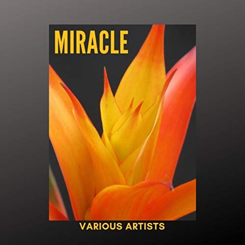 Play Miracle by VARIOUS ARTISTS on Amazon Music