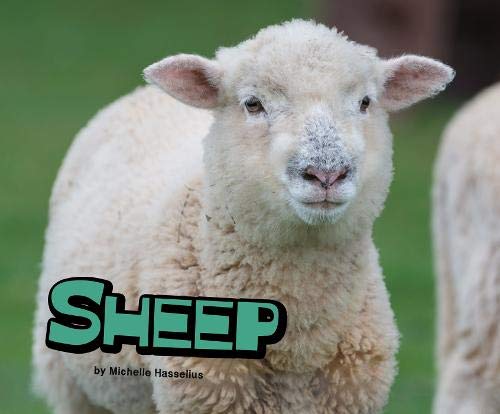 Sheep (Pebble Plus: Farm Animals): Michelle M. Hasselius: 9781474722438 ...