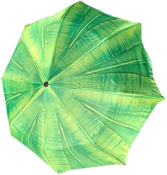 Amazon.com | Salamander Graphix - Adult Collapsible Palm Leaf Umbrella ...