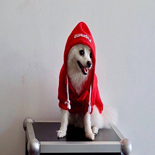 Écouter Stole Ur Girl, Pt. 1 par Lil Hank sur Amazon Music Unlimited