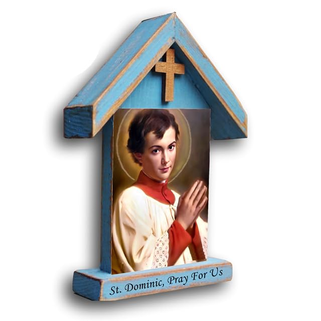 Amazon.com: St Dominic Savio, Dominic Savio, catholic gifts for kids ...