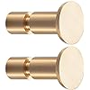 TECI Solid Brass Gold Hooks(2 Pack) Heavy Duty Wall Mounted.Perfect for ...