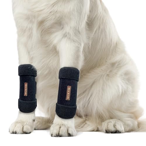 Knuckling In Dogs – The 15 best products compared - Wild Explained