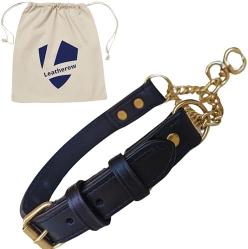 Amazon.com : Leatherow Leather Martingale Dog Collar | Soft No Pull ...