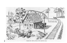 Guerrilla Warfare And Special Forces Operations: FM 31-21, US Army ...