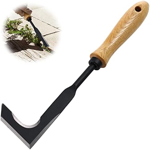 Amazon.com : Lilyvane Crack Weeder, Manual Crevice Weeding Tool Weed ...