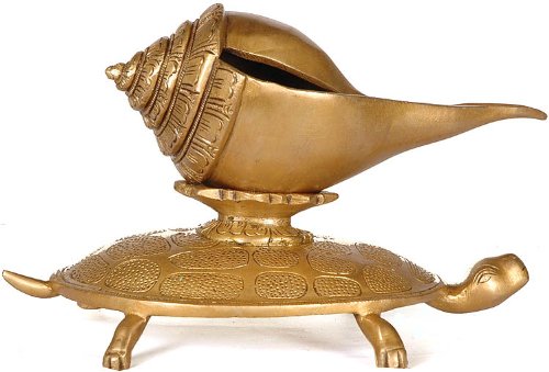 Buy Exotic India Conch on Tortoise - Brass Sculpture Online at Low ...