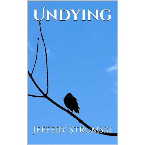 Amazon.com: Undying (Audible Audio Edition): Jeffery Strumski ...