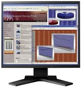Amazon.com: Eizo FlexScan S1961 LCD Monitor : Electronics