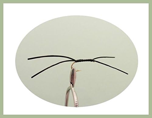 Apps bloodworm Trout Flies, 6 Pack Black Apps, Size 10, For Fly Fishing ...