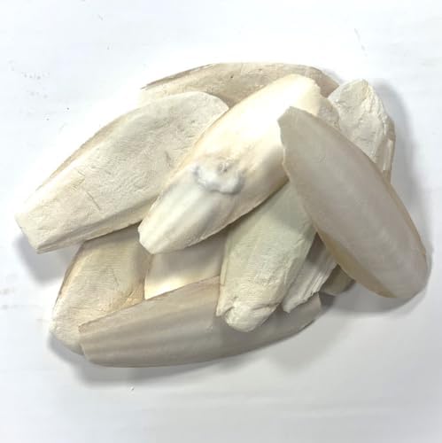 50g Premium Quality Small Cuttlefish Bone Suitable for Cage Birds ...