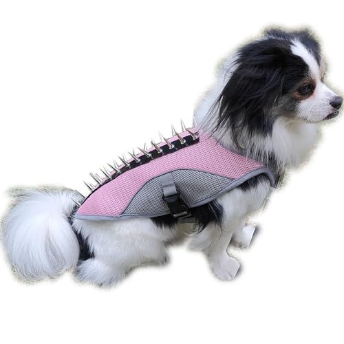 Dog Spike Vest – The 15 best products compared - Wild Explained