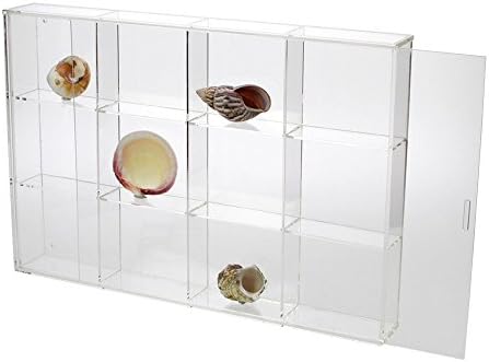Amazon.com: Seashell Display Case - Large 12 Compartments : Home & Kitchen