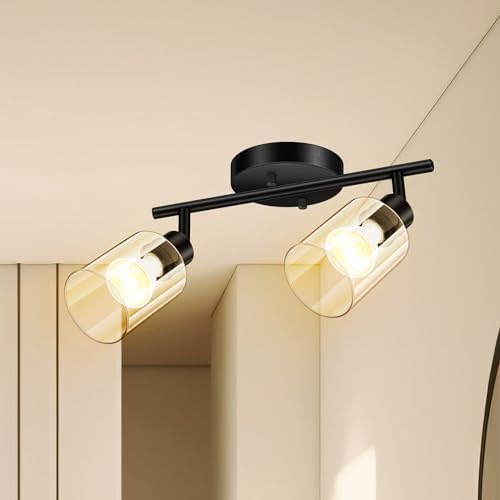 BoostArea LED 2 Light Track Lighting Kit, LED Track Lighting Fixtures ...