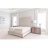 Amazon.com: Naturepedic Organic Waterproof Mattress Protector Pad ...