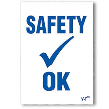 Amazon.com: Static Cling Car Inspection Stickers - Smog Ok (100 per ...