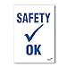 Amazon.com: Static Cling Car Inspection Stickers - Safety Ok (100 per ...