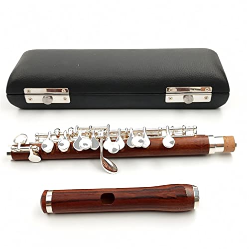 ¿Cómo Elegir El Mejor Flautín? - Guía de Compra