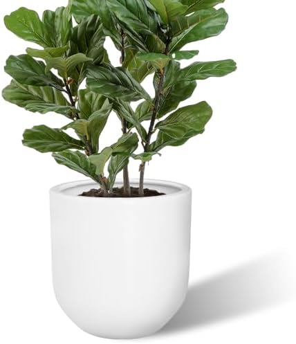 Amazon.com : Lawn Social 12 Inch Ceramic Plant Pots, Large Pots for ...