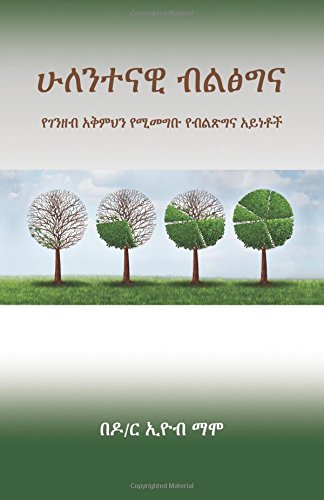 Amazon.com: Holistic Wealth (Amharic Edition): 9780988328570: Mamo, Dr ...