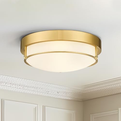 Cargifak 12 inch Flush Mount Light Fixture, 2-Light Modern Ceiling ...