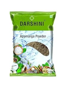 Amazon.com : VK Apamarga/Chirchira/Latjira/Aghada Powder, Pack of 2, 200gx2=400g : Health ...