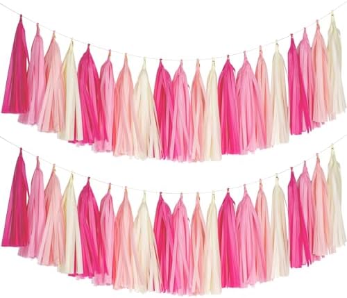 Amazon.com: GAKA Hot Pink Light Pink Tissue Paper Tassels Garland ...