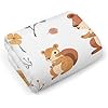Amazon.com: HJBNM Hand Towels Squirrel and Bear Printed Kitchen Towels ...