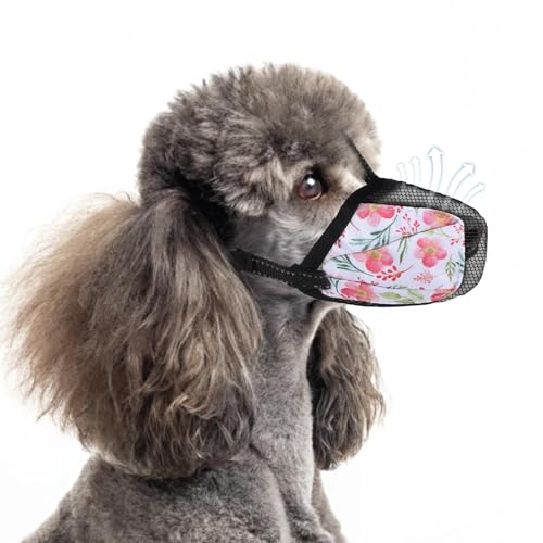 10 Best Muzzles to Stop Your Dog From Eating Poop – Expert Reviews ...