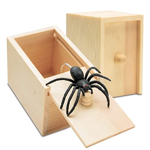 Best Spider Prank Box: A Hilarious Surprise for Pranksters - Arch ...
