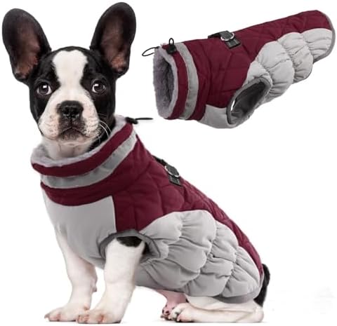 Amazon.com : Lelepet Warm Winter Dog Coat - XS, Waterproof, Padded ...