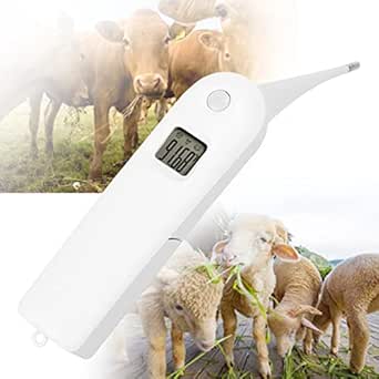Amazon.com: Livestock Veterinary Thermometer Metal Probe LCD Display ...