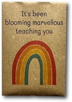 20 x UNPERSONALISED Teacher to Student Seed Packets, Prime, Wildflower ...