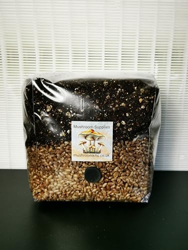 Fat Fungi Mushroom Growing Kit UK | All in One | Organic Rye Grain ...