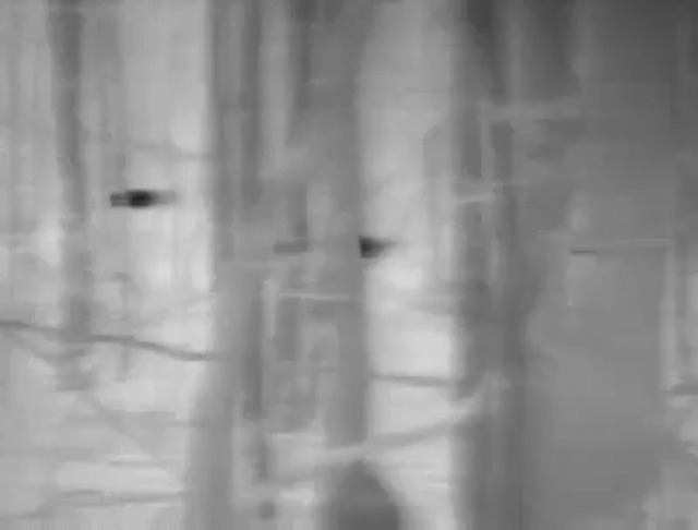 Watch X-Vision Optics XVT Thermal Reflex Sight, 1-4x Magnification on ...
