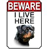 Amazon.com : Rottweiler Dog Breed Gate Signs Beware I Live Here Metal ...