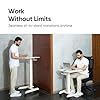 Frido Portable Standing Desk for Home & Office | Height-Adjustable ...
