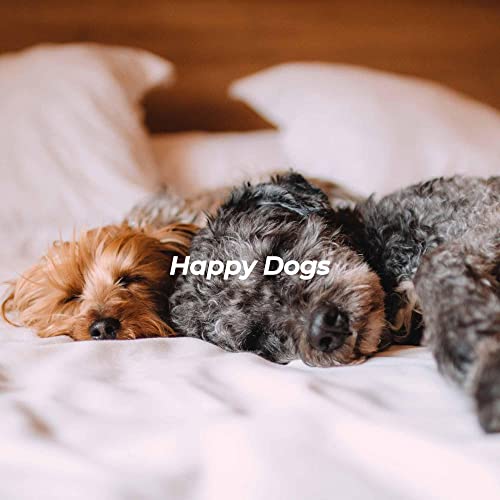 Play Happy Dogs by Happy Music for Dogs & Relaxing Dog Music Classics ...
