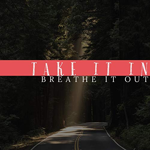 Take It in, Breathe It Out by David Huyler on Amazon Music - Amazon.com