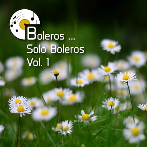 Play Boleros … Solo Boleros, Vol. 1 by Varios Artistas on Amazon Music