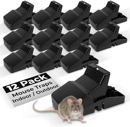 Amazon.com : Kat Sense Rat Traps That Work Indoor & Outdoor for Instant ...